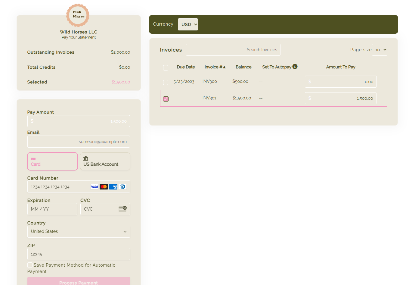 Custom Payment Page Themes – ZonePayments Knowledge Base